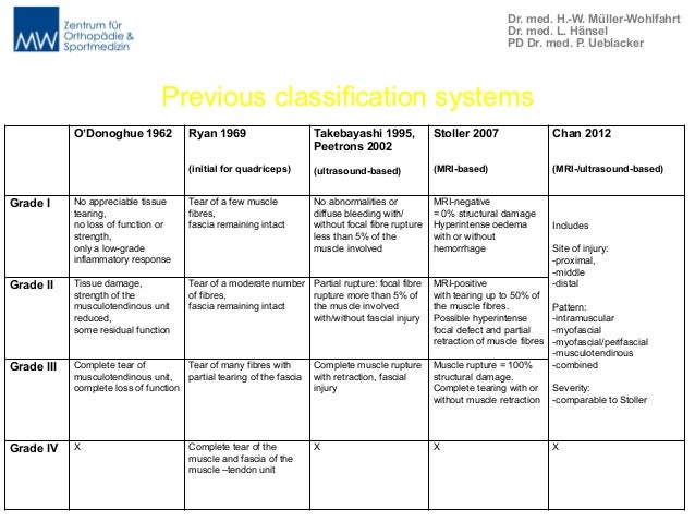 Bryan English - classification of muscle injuries in sport
