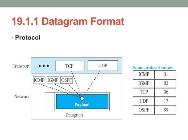 19 Network Layer Protocols | PPTX