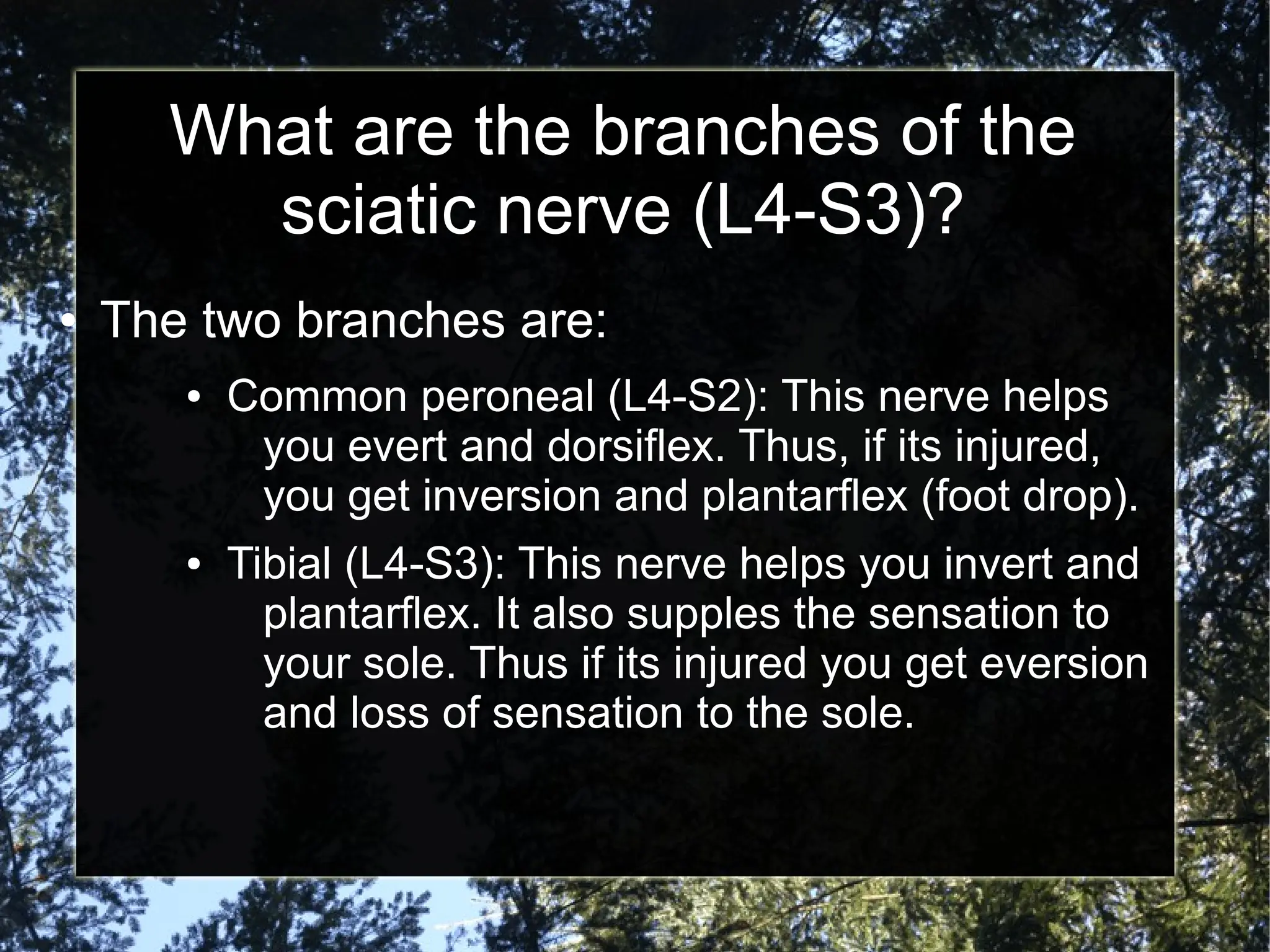 19 Neurology Lower Limb.pdf