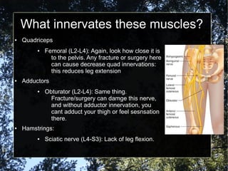 19 Neurology Lower Limb.pdf