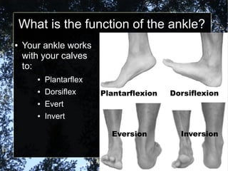 19 Neurology Lower Limb.pdf | Death, Injury, or Military Conflict ...