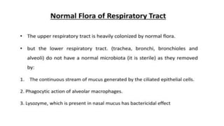 DPT - Normal flora of body | PPT