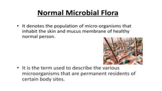 DPT - Normal flora of body | PPT