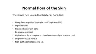 DPT - Normal flora of body | PPT
