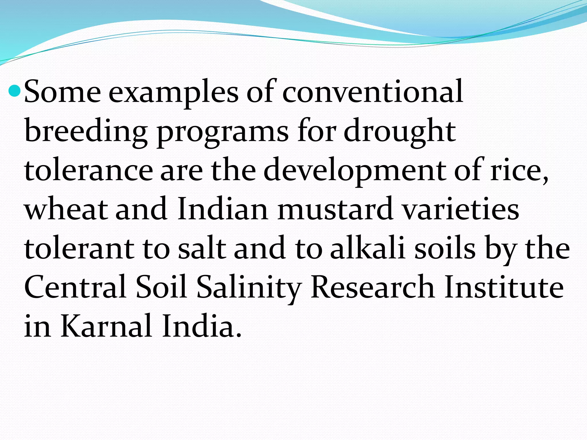 Genetically Modified Crop ( DROUGHT RESISTANCE CROP ) | PPTX