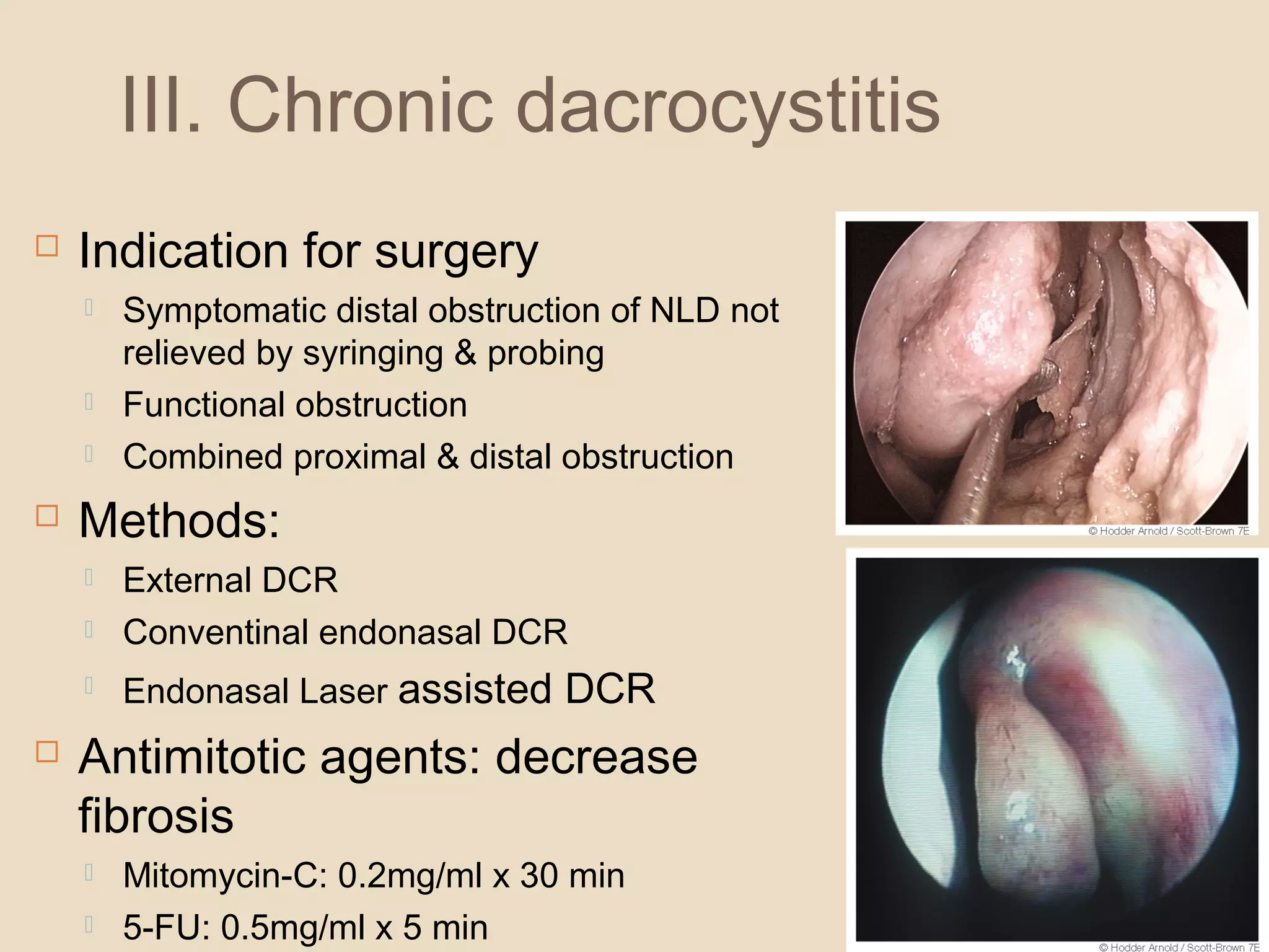 19 orbit in ent final | PPT