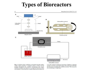 Bioprocess Equipment Design and Economics | PPTX