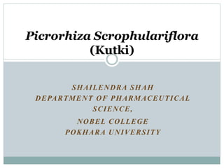 19 picrorhiza scrophulariflora(kutki) | PPTX