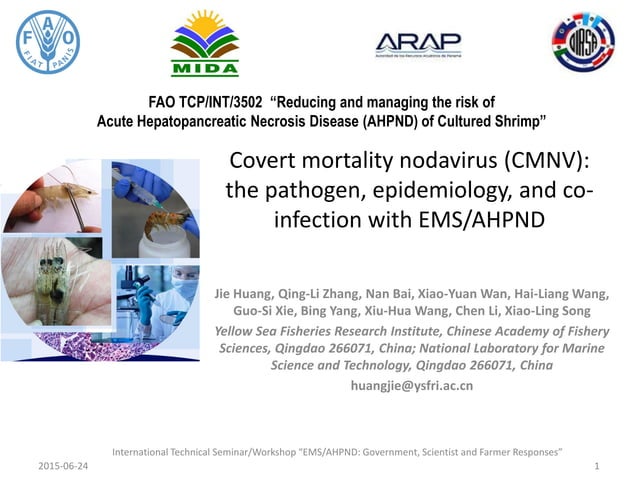 Presentation 19: Covert Mortality Nodavirus (CMNV): the pathogen ...