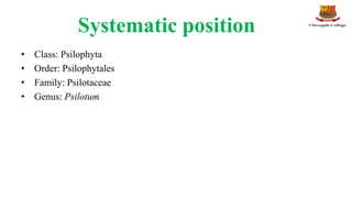 Systematic position and structure and Psilotum | PPT