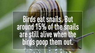 19 really disturbing facts that'll make you look at things differently ...