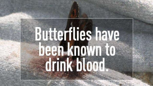 19 really disturbing facts that'll make you look at things differently ...