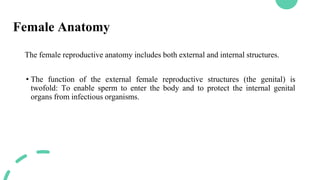 Female REPRODUCTIVE SYSTEM PowerPoint presentation .pptx
