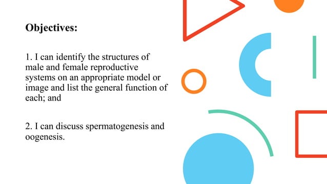 Female Reproductive System Powerpoint Presentation Pptx
