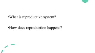 Female REPRODUCTIVE SYSTEM PowerPoint presentation .pptx