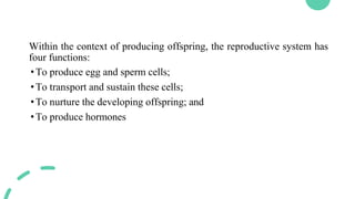 Female REPRODUCTIVE SYSTEM PowerPoint presentation .pptx