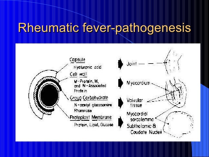 Rheumatic fever & acute rheumatic heart disease Rheumatic fever & a…