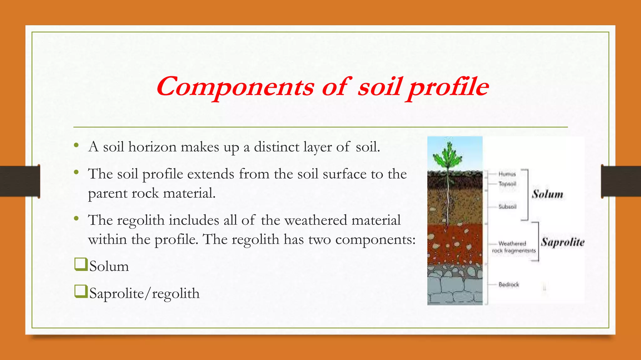 Study of Soil Profile | PPTX