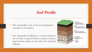 Study of Soil Profile | PPTX