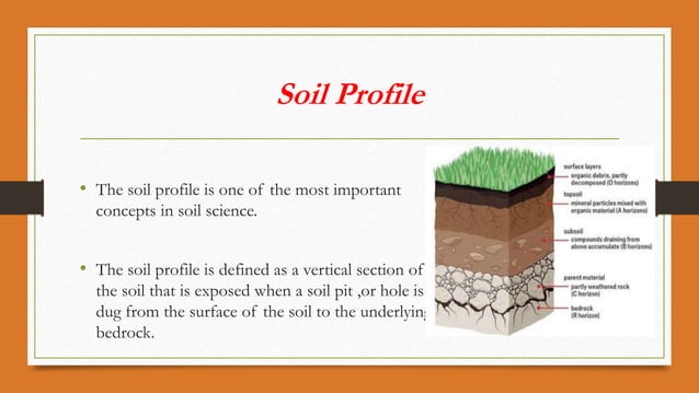 Study of Soil Profile | PPT