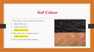 Study of Soil Profile | PPTX