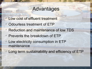 Bioclean CleanMaxx: The ETP Doctor | PPT