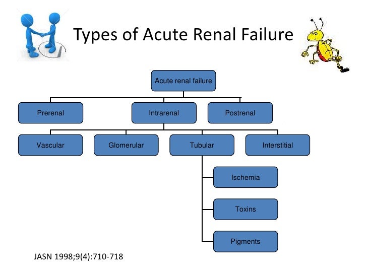19 Shoeb Bin Islam Acute Renal Failure