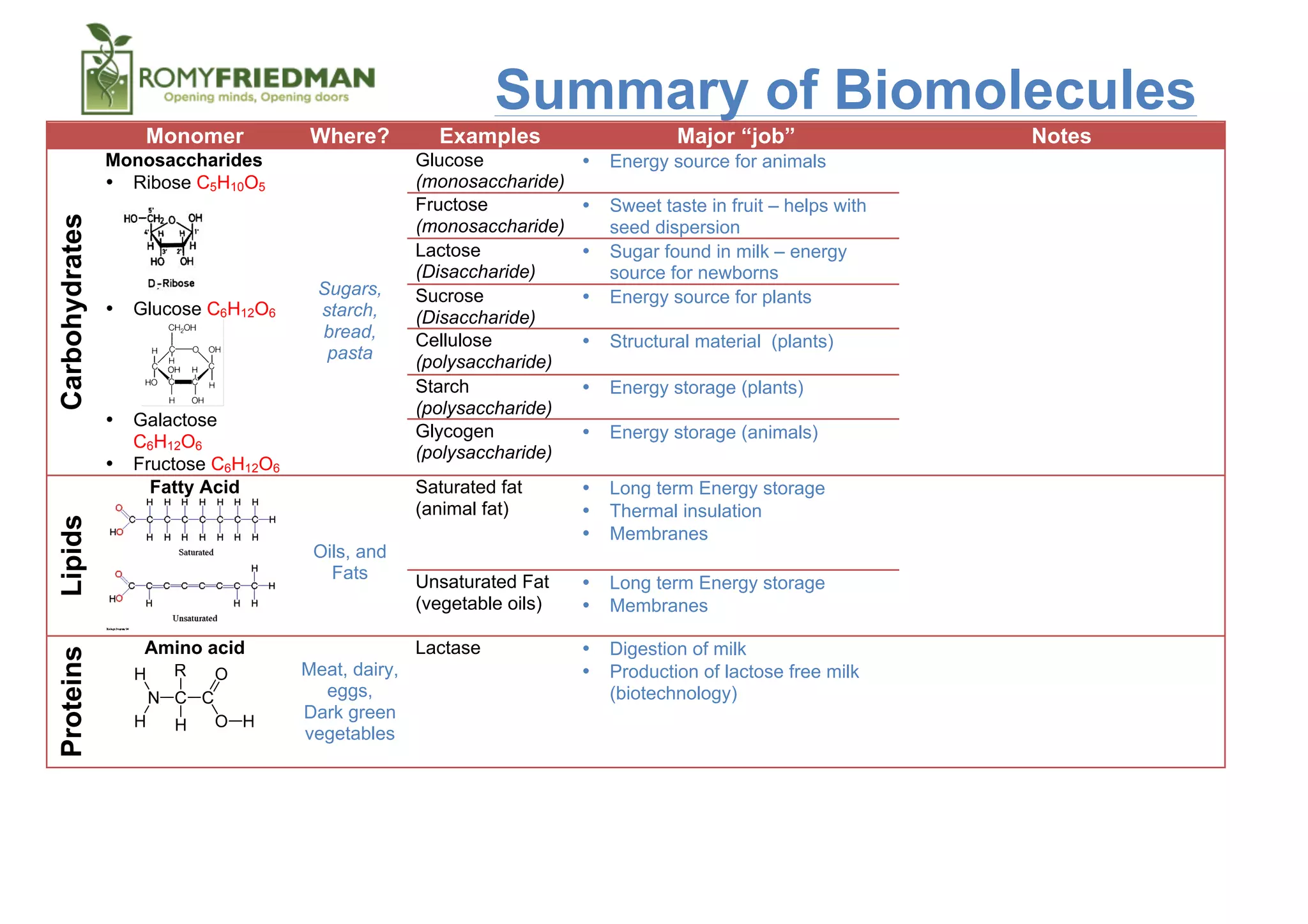 Summary of Biomolecules | PPT