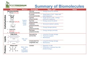 Summary of Biomolecules | PPT