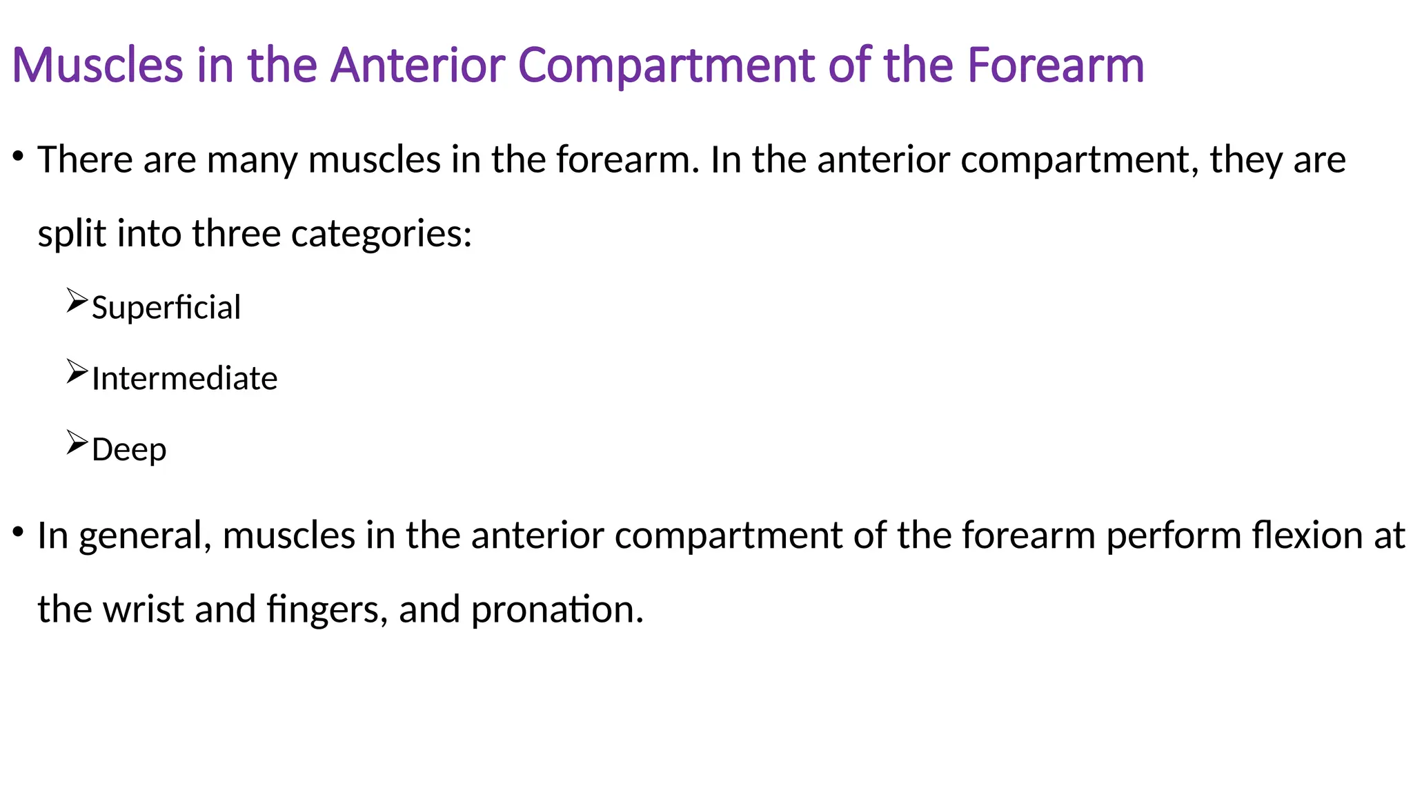 19 The Anterior muscle of Forearm . . . | PPTX