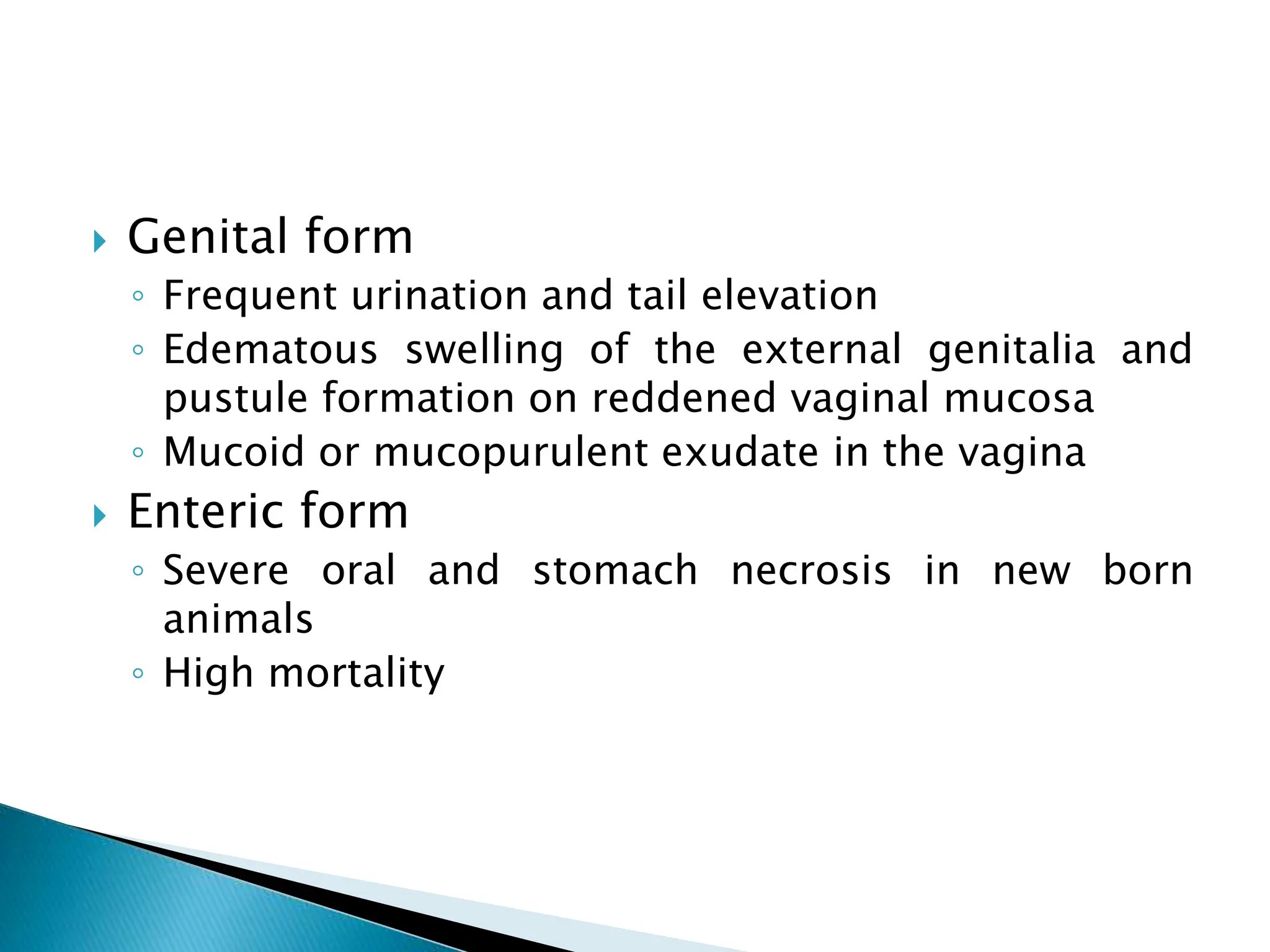 Carcass judgement of viral diseases in animals | PPTX