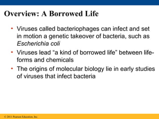 19 - Viruses | PPT