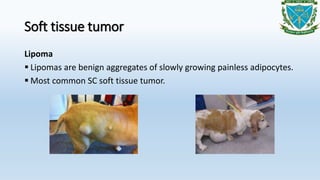 Tumor of the skin-types, general features of Benign and Malignant tumor ...