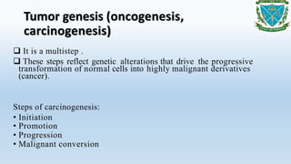 Tumor of the skin-types, general features of Benign and Malignant tumor ...