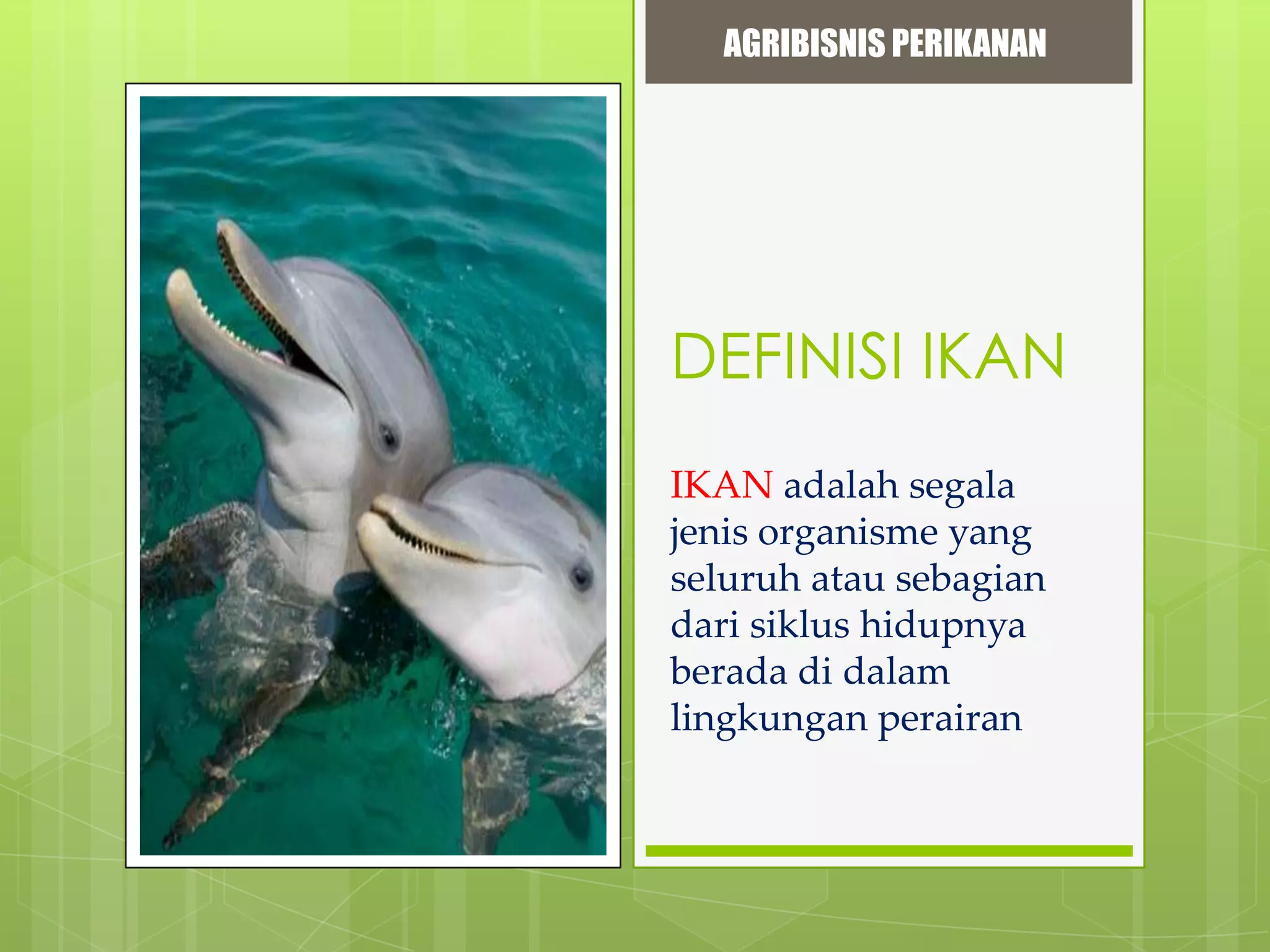 1 a. agribisnis perikanan | PPTX