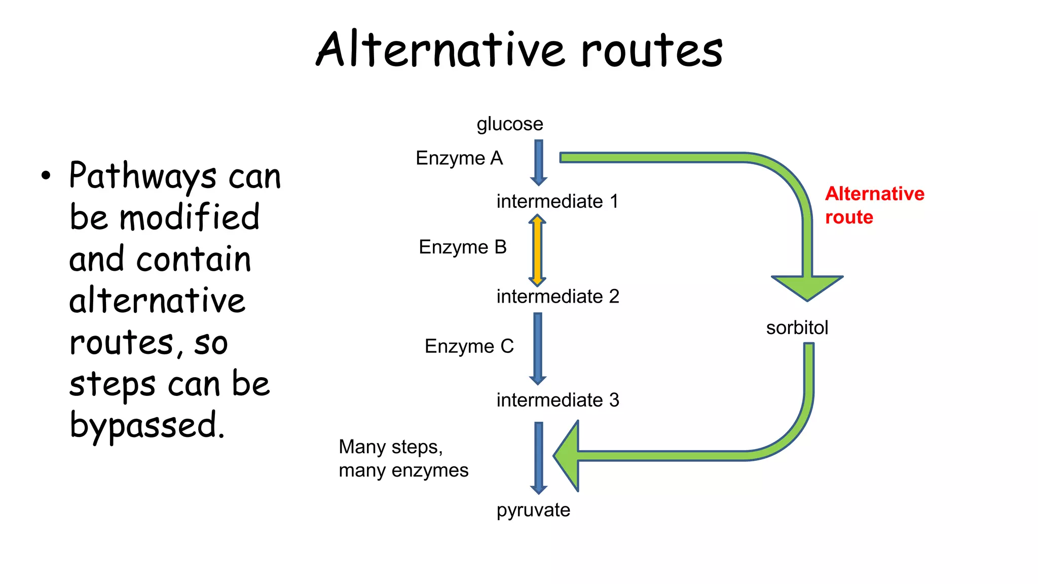 1a.-Metabolic-Pathways-1.pptx