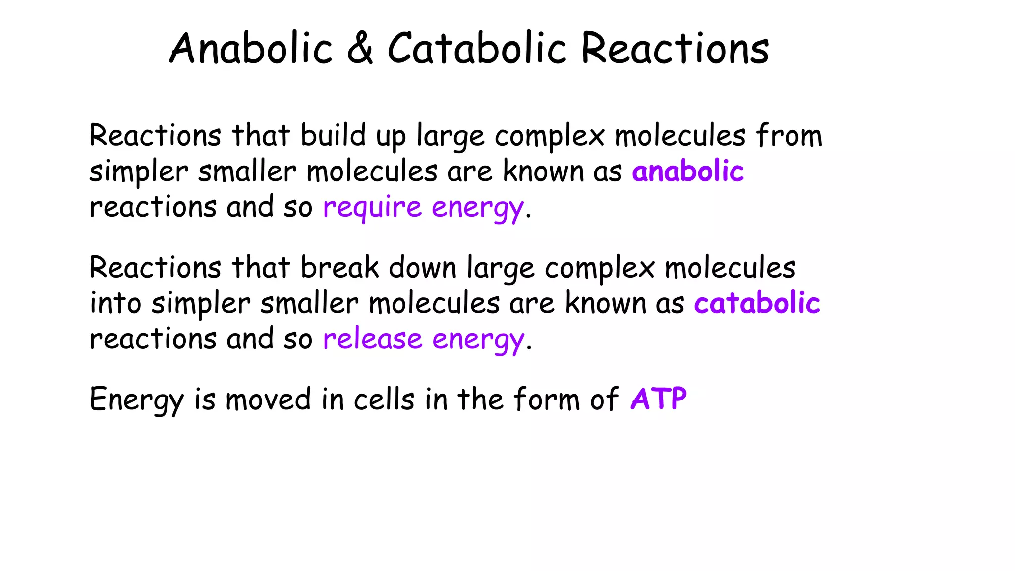 1a.-Metabolic-Pathways-1.pptx