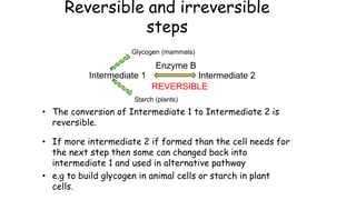 1a.-Metabolic-Pathways-1.pptx