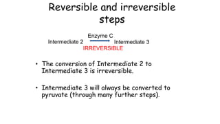 1a.-Metabolic-Pathways-1.pptx