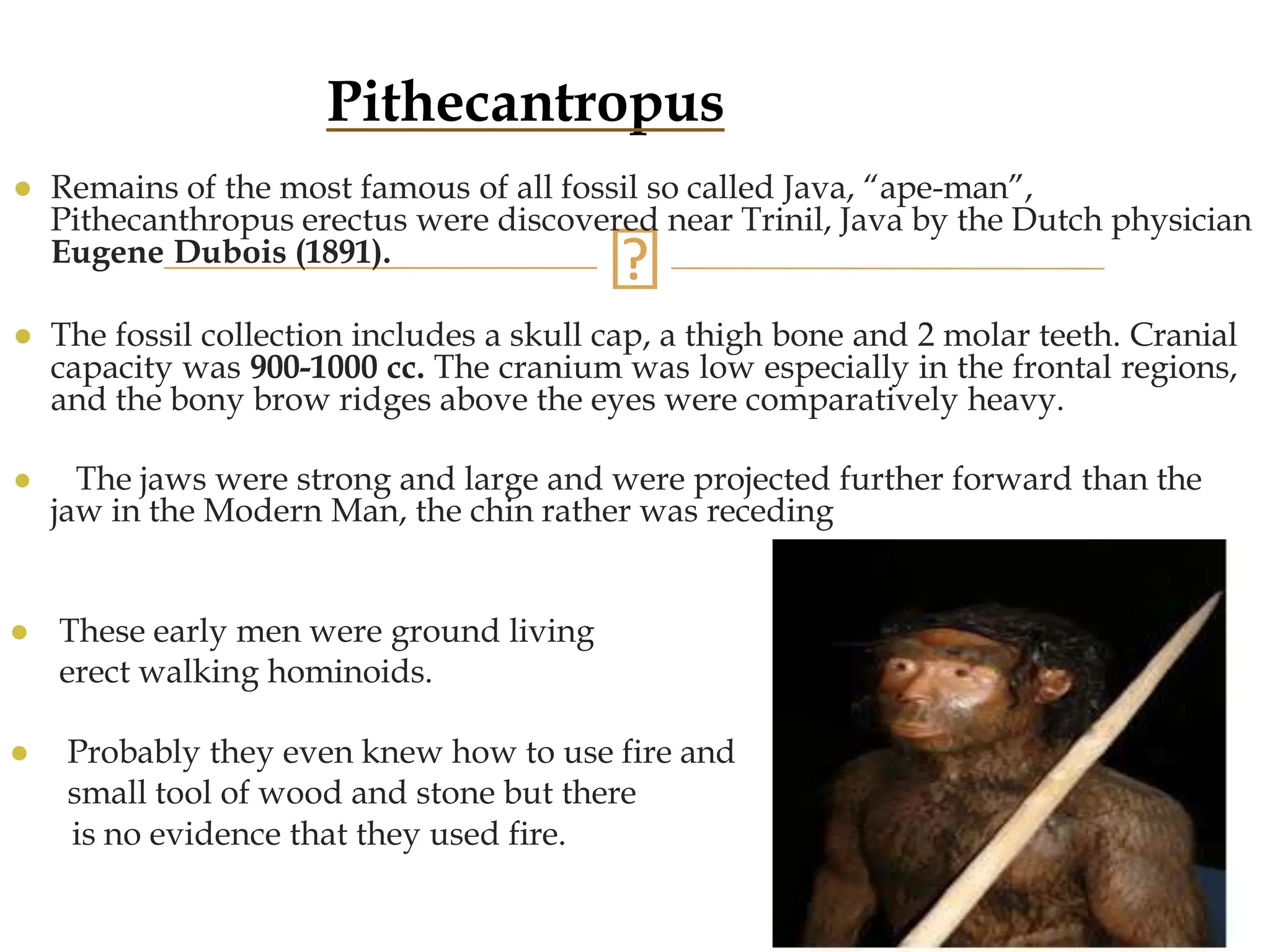 1A. HUMAN EVOLUTION (1).pptx