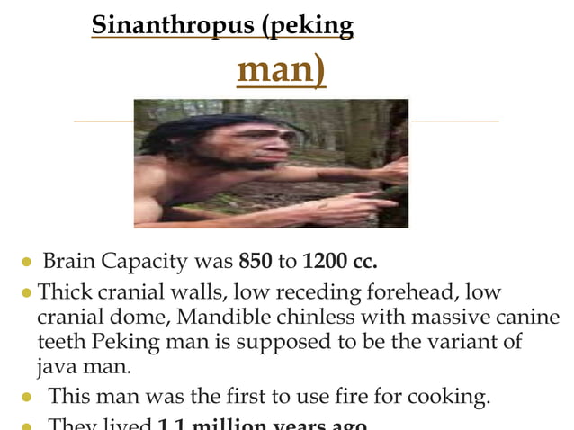 1a Human Evolution 1pptx 5040