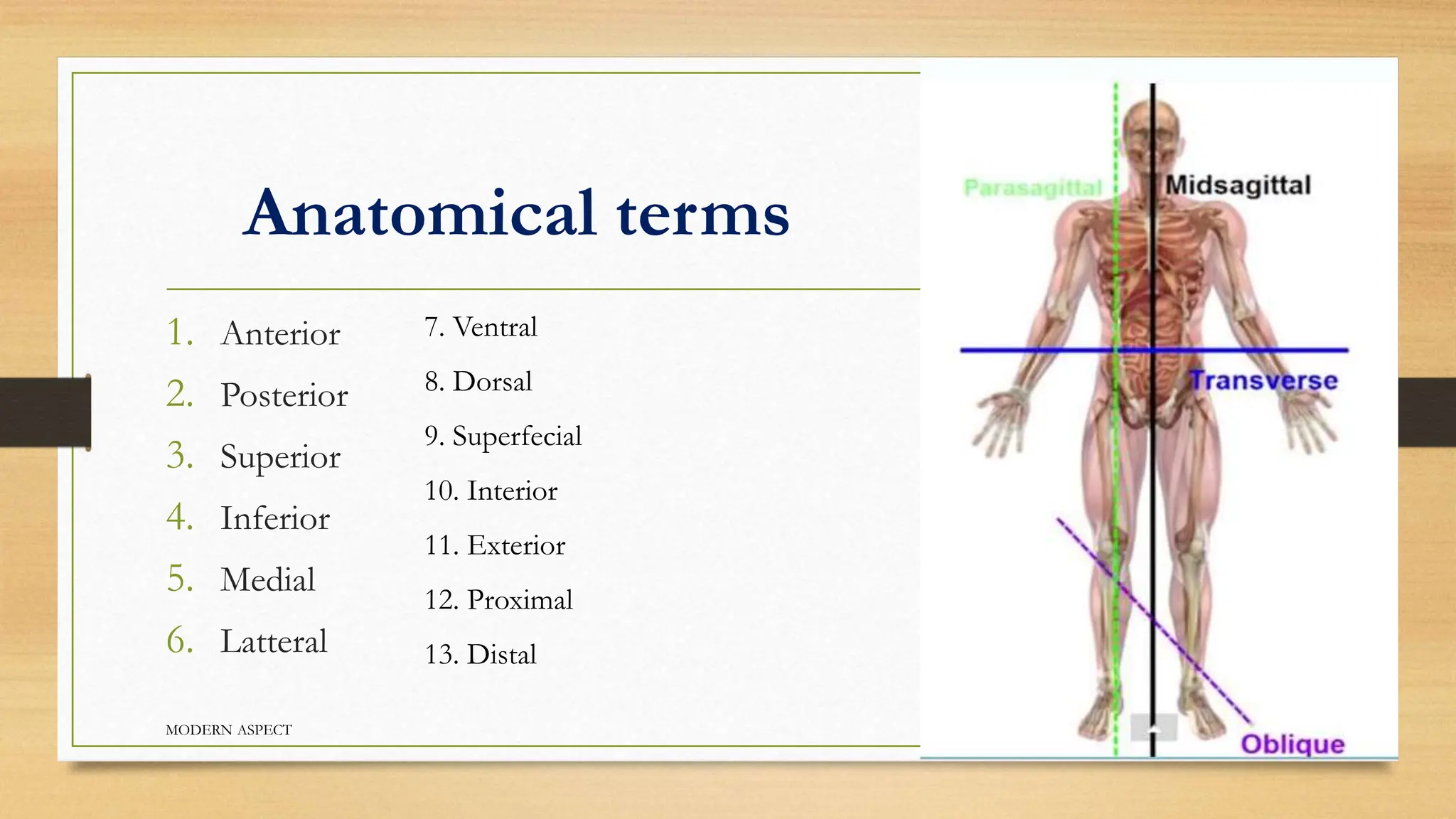 PRESERVATION OF DEAD BODY, ANATOMICAL PLANES, ANATOMICAL TERMS BY DR ...