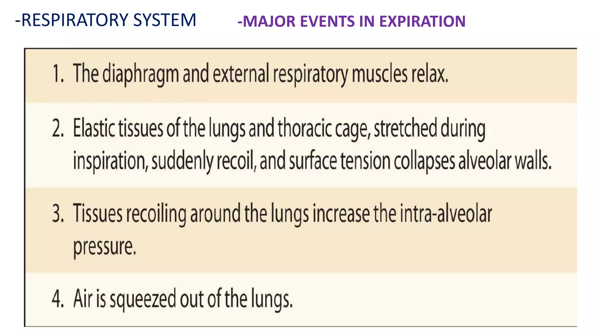 respiratory system-Medicine | PDF