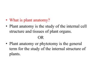 1a- Primary Plant Body.pptx