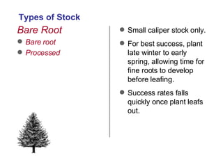 1a Selection And Planting | PPT