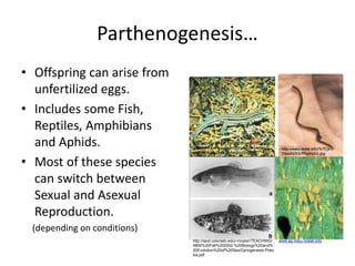 BIOLOGY FORM 5 CHAPTER 4 - 4.1 Asexual &Sexual Reproduction | PPT