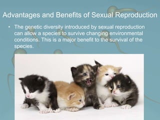 BIOLOGY FORM 5 CHAPTER 4 - 4.1 Asexual &Sexual Reproduction | PPTX