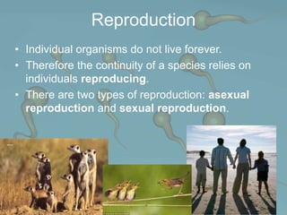 BIOLOGY FORM 5 CHAPTER 4 - 4.1 Asexual &Sexual Reproduction | PPT