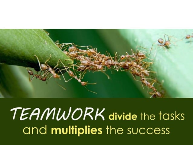 Employee Motivation & Office branding | PPT