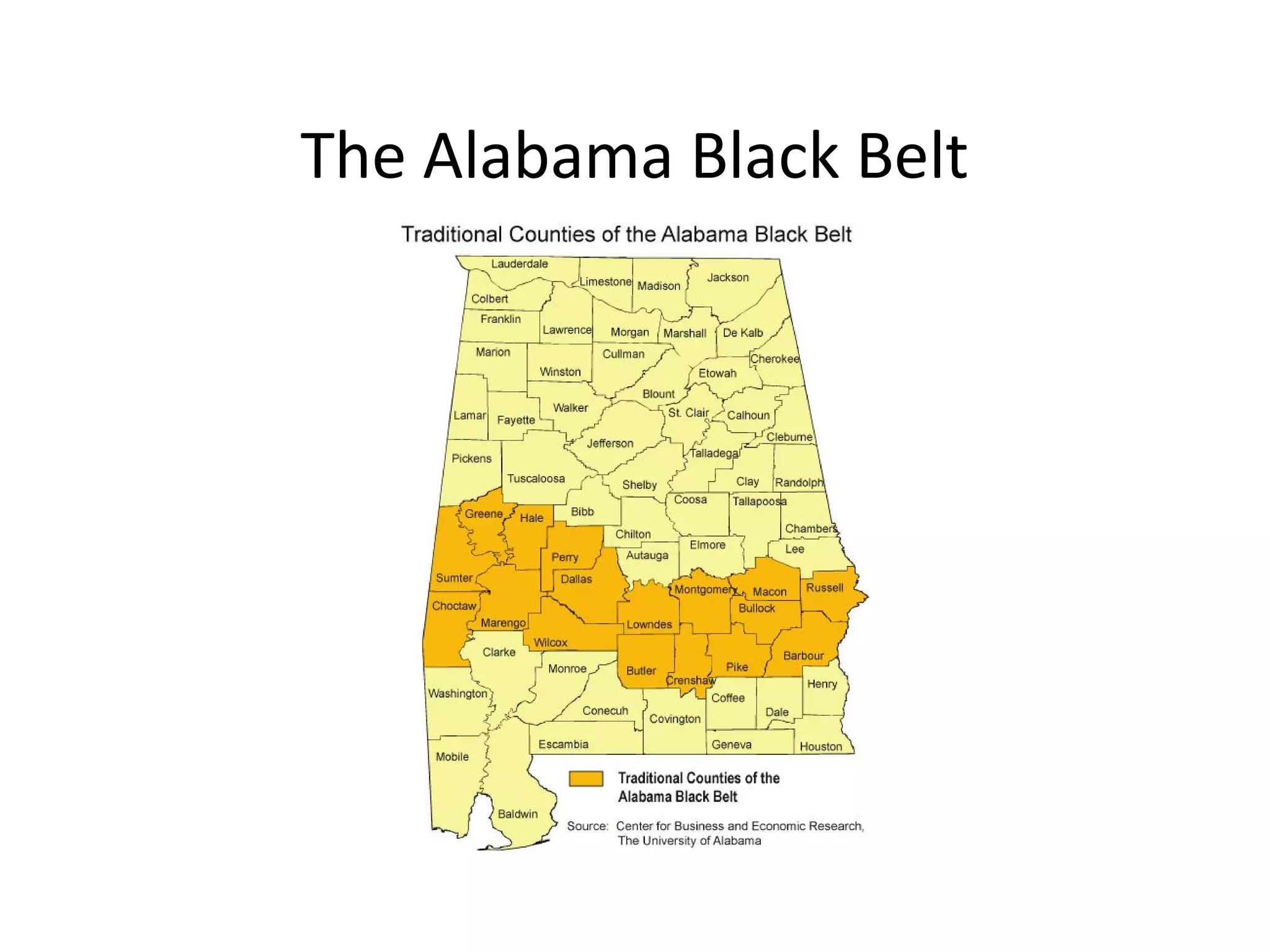 Blackbelt Renaissance Project-Powerpoint-Stegall-Master Thesis | PPT